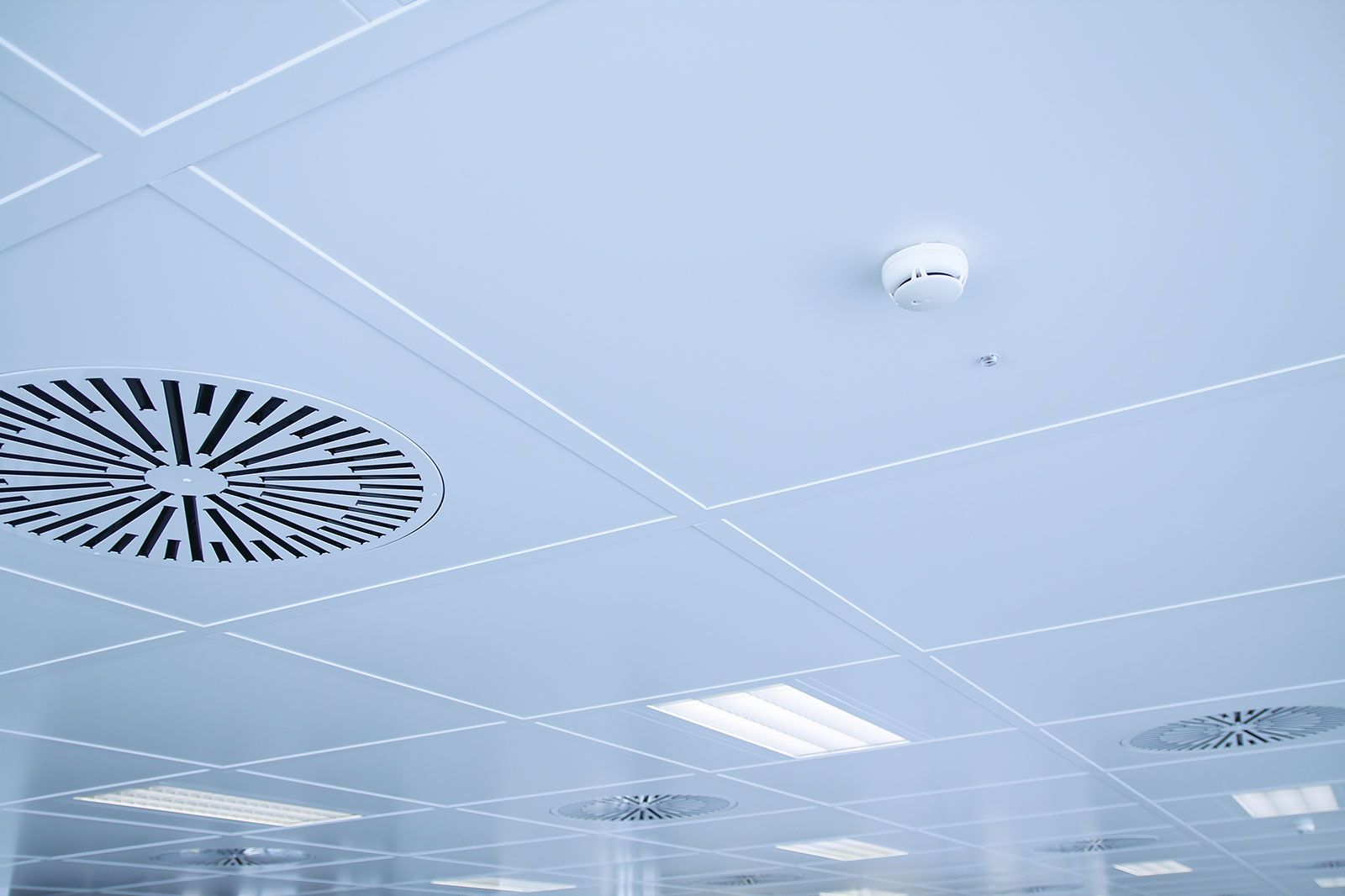 Ritterwand Projekt Trumpf